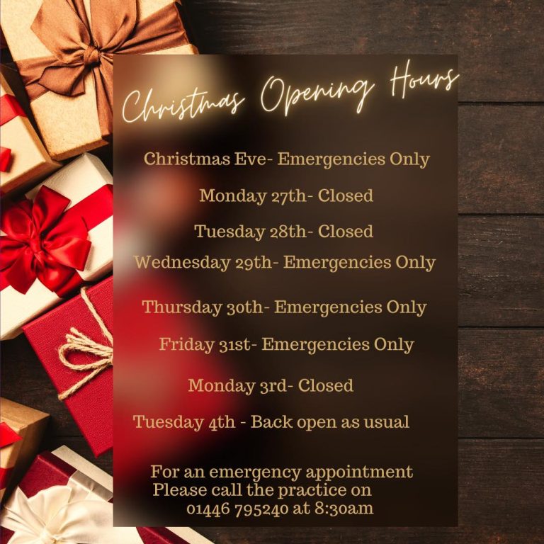 Christmas Opening Hours 2021 - Dentist, Llantwit Major - Wyndham House ...